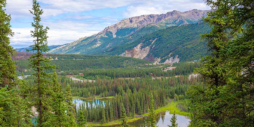 Alaska National Parks Land and Cruise | Glacier Bay & Denali National Parks