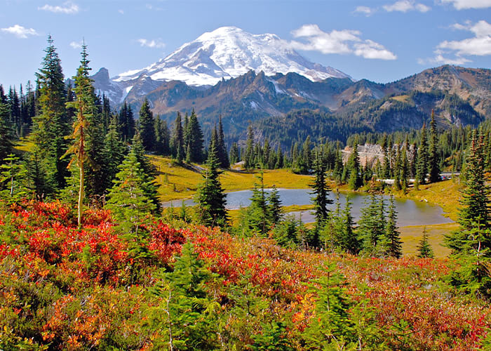 Best Time to Cruise Puget Sound | American Cruise Lines' Official Blog