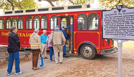 Cruising Tips: How to Pick Your Excursions | American Cruise Lines ...